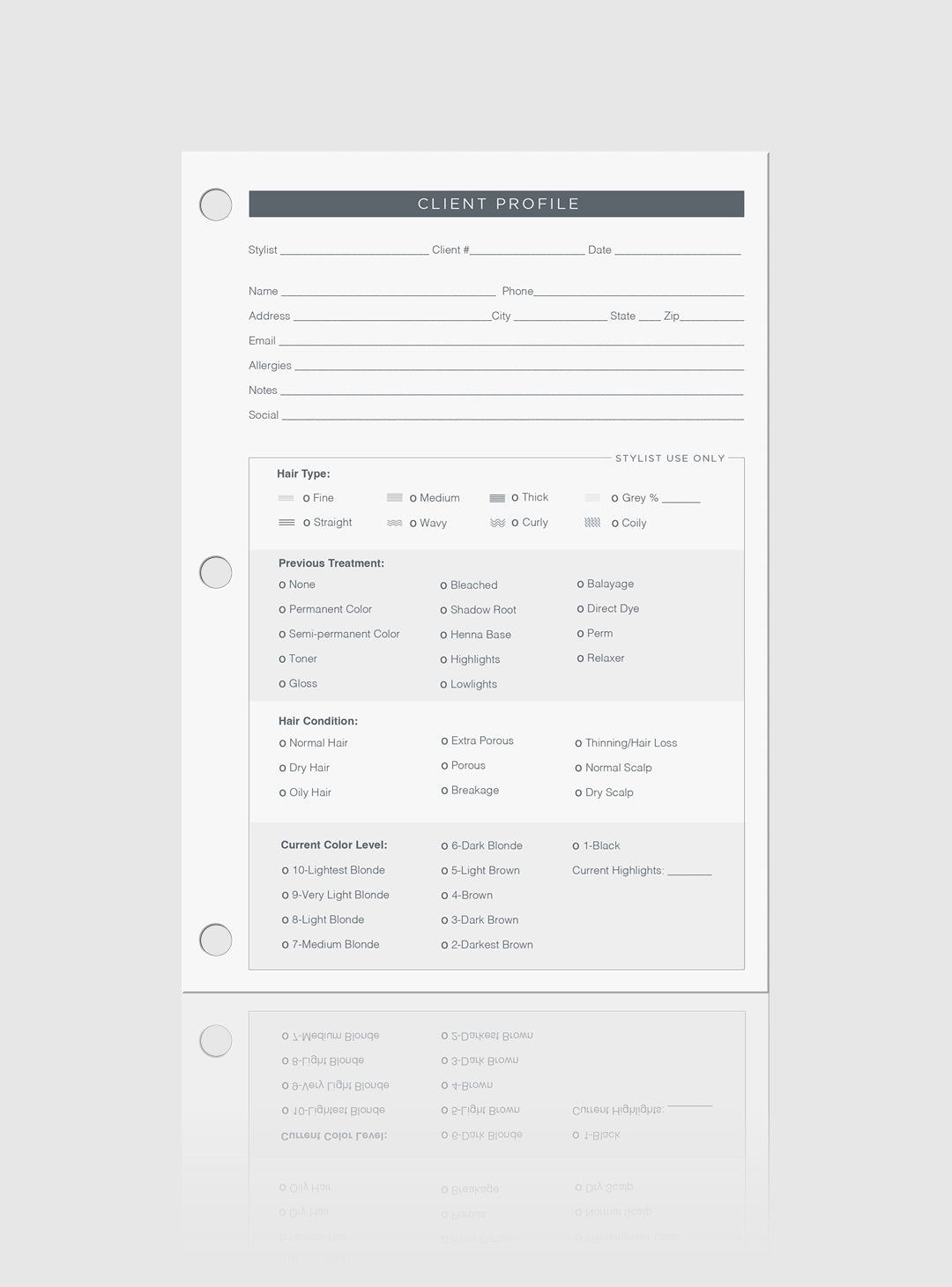 Stylist Client Profile Cards for Salon Professionals | Fromm Pro – FROMM