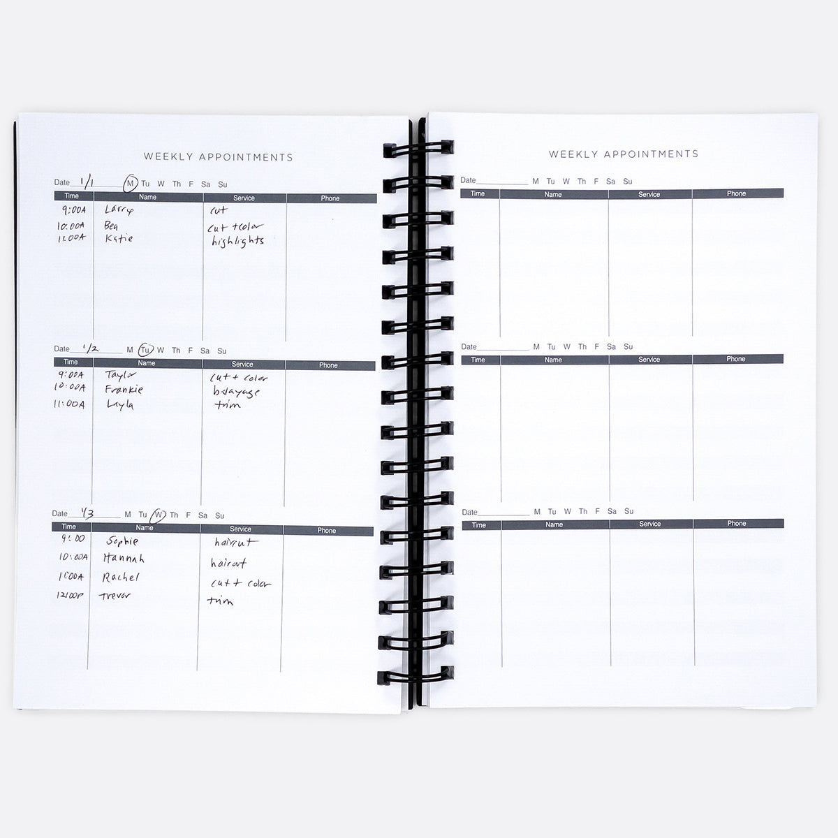 Personal Appointment Book for Salon Professionals | Fromm Pro – FROMM