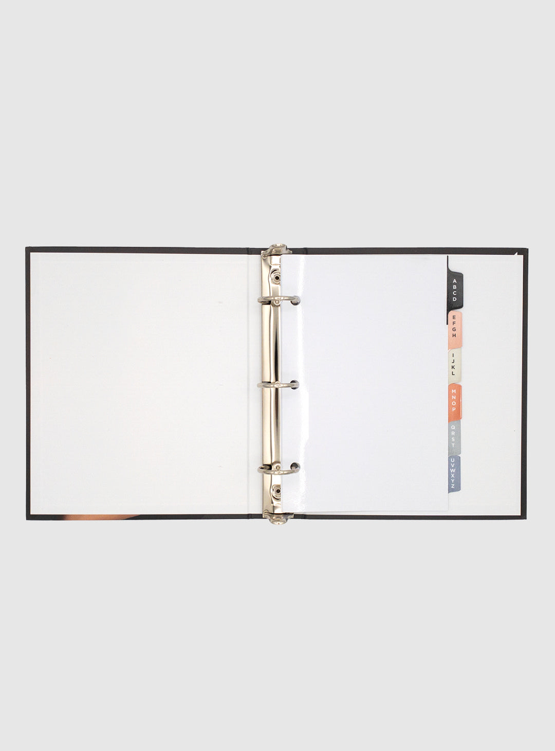 Client Data Organizer Binder for Salon Professionals | Fromm Pro – FROMM