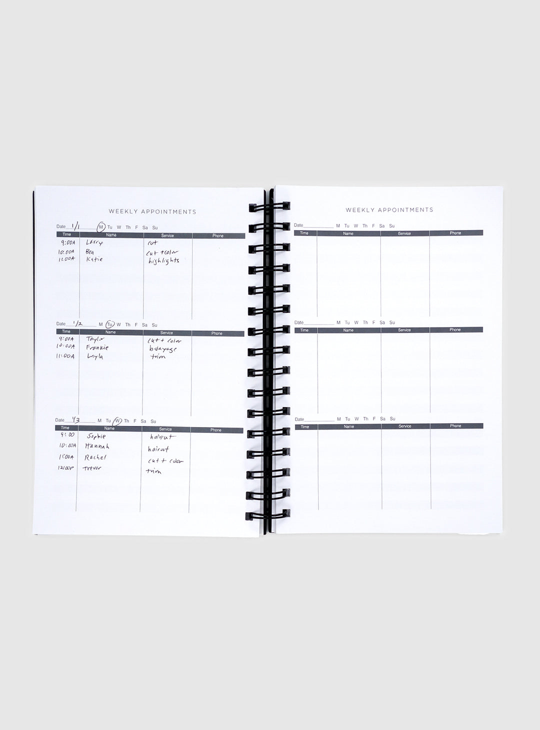 Personal Appointment Book for Salon Professionals | Fromm Pro – FROMM